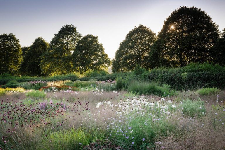 DE SMET | Watch Now | Five Seasons: The Gardens of Piet Oudolf